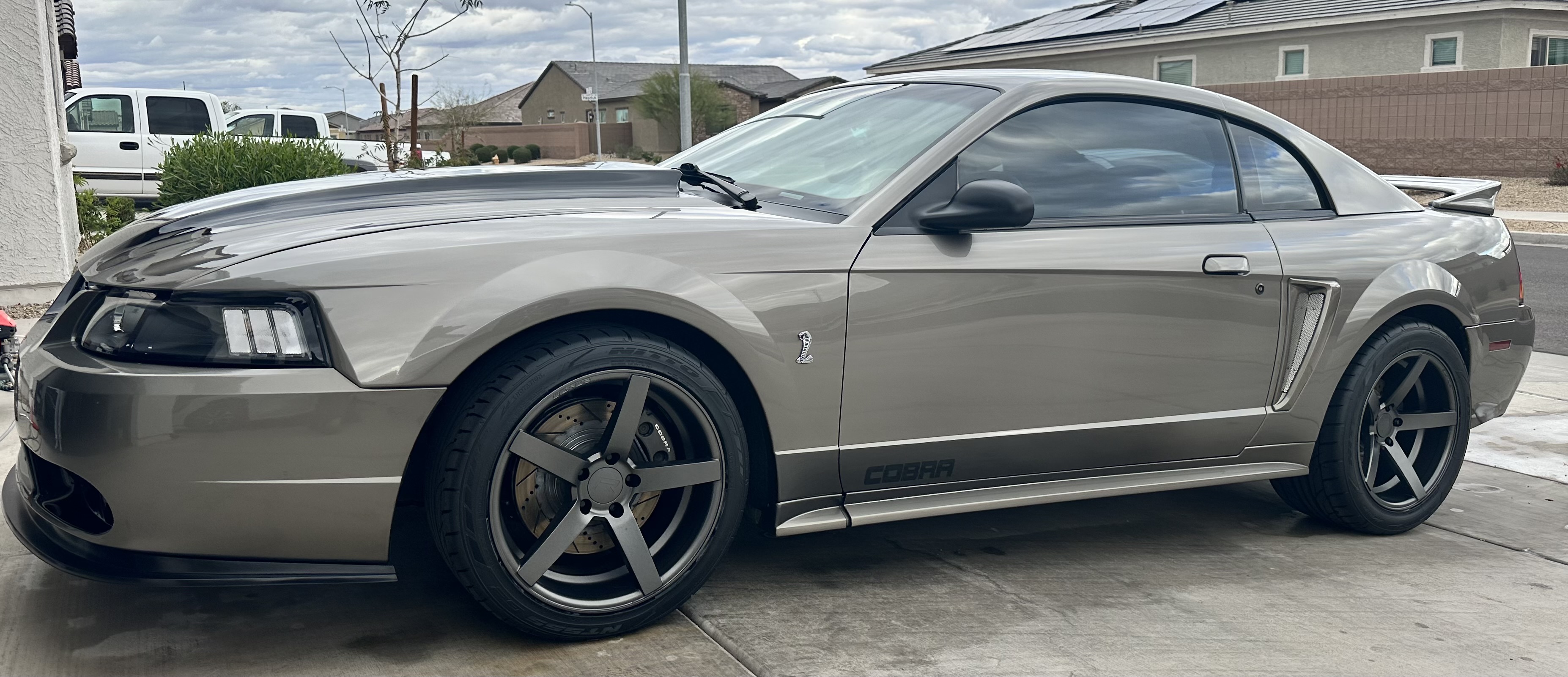 Ford Special Vehicle Registry