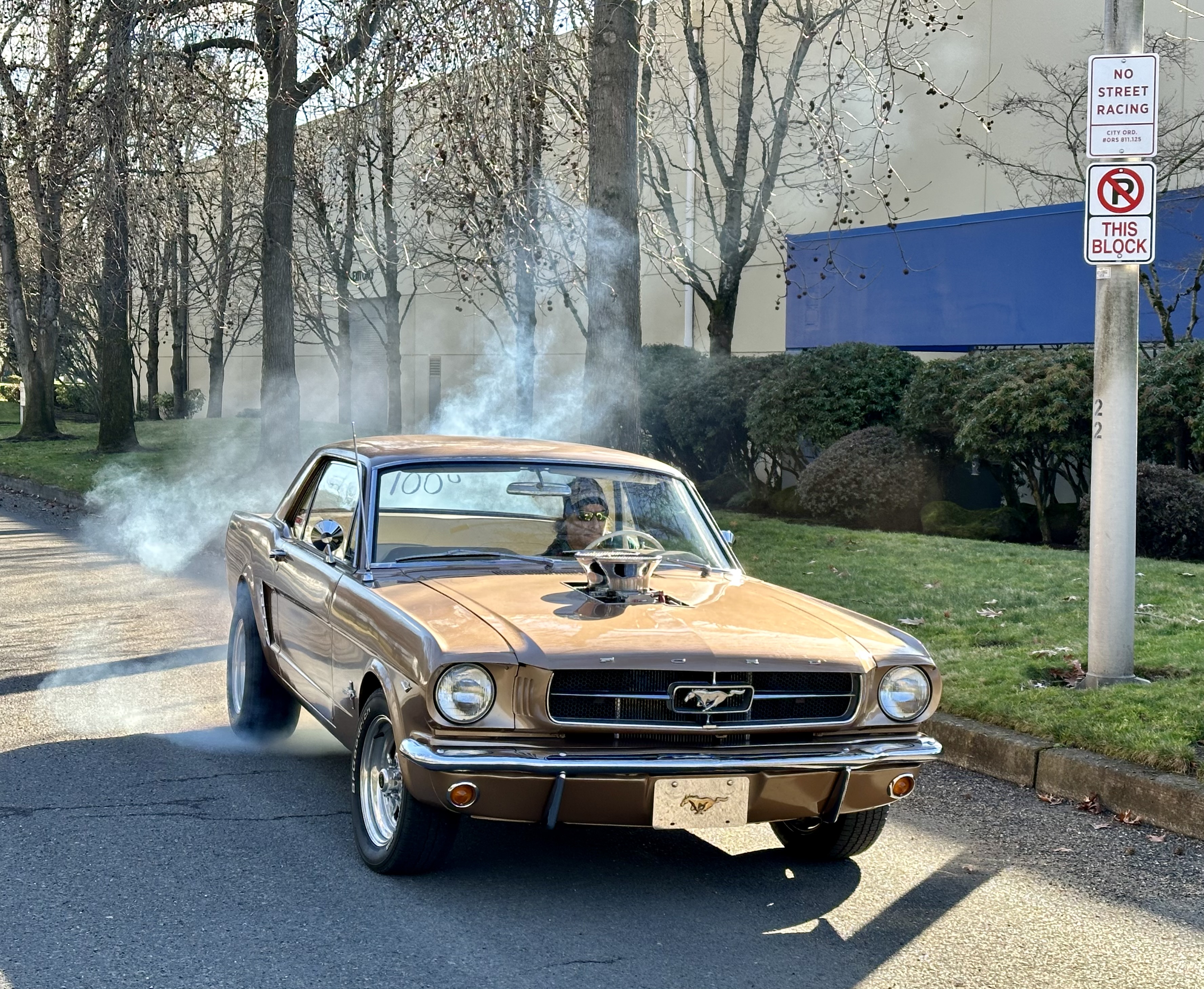 Ford Special Vehicle Registry