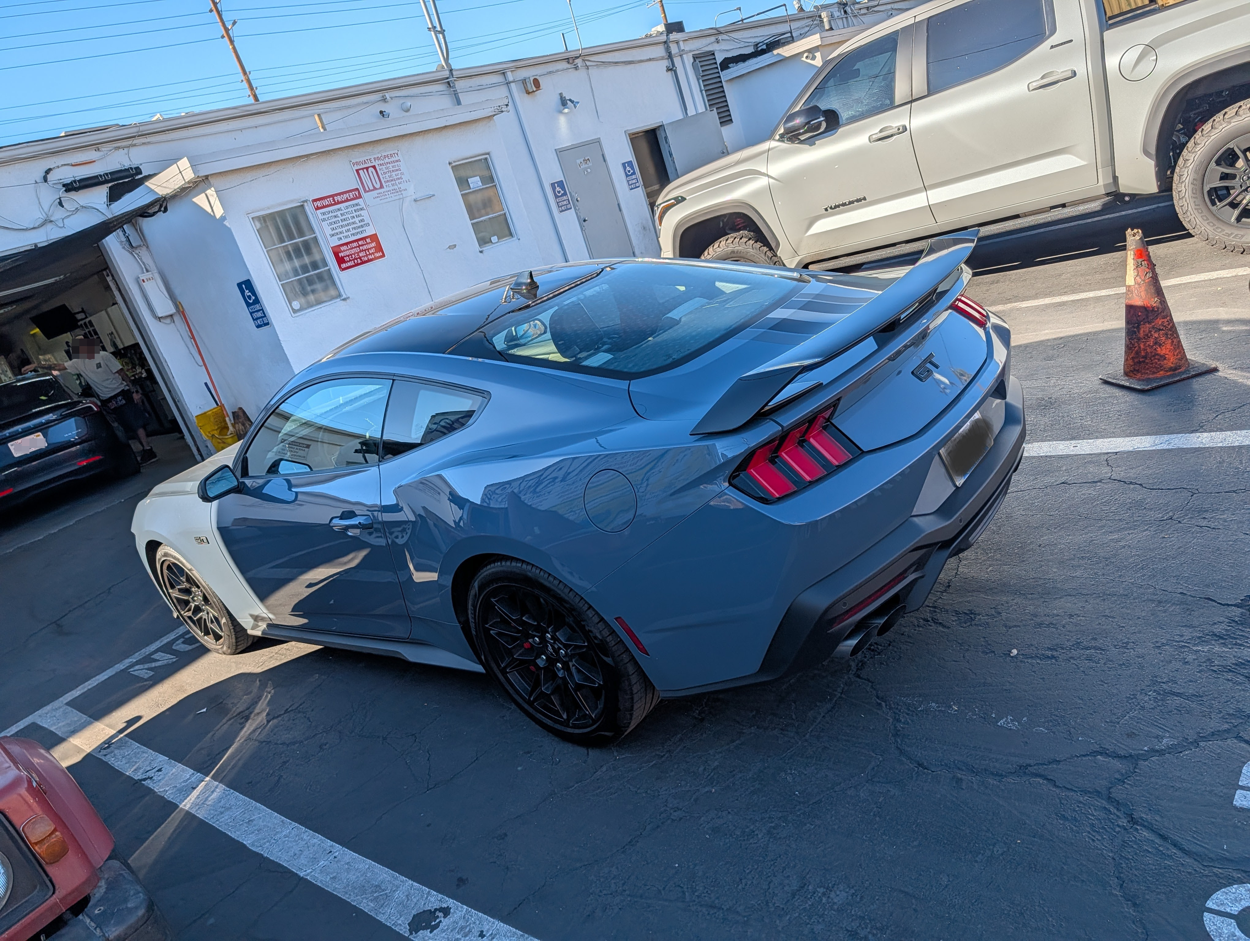 Ford Special Vehicle Registry