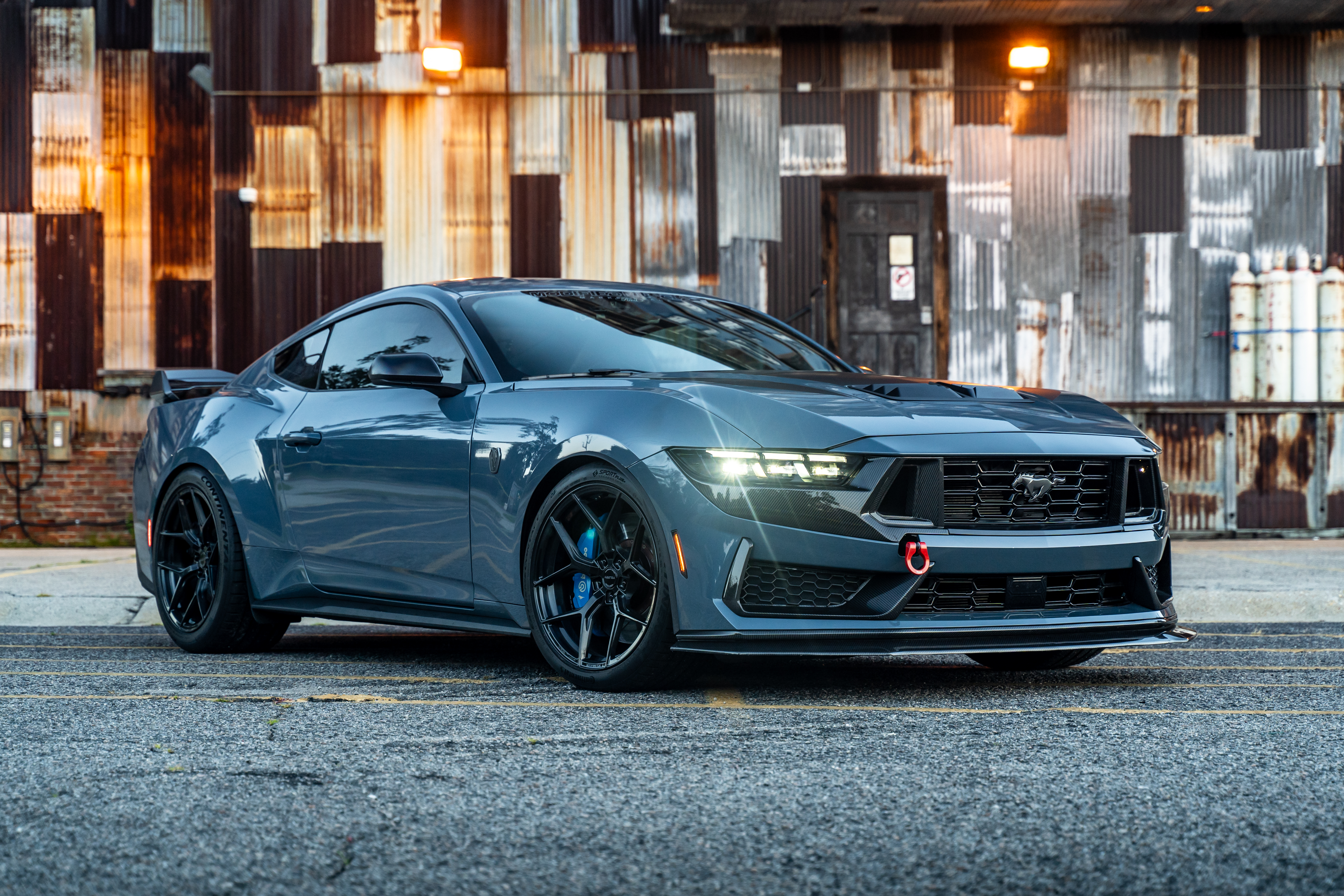 Ford Special Vehicle Registry