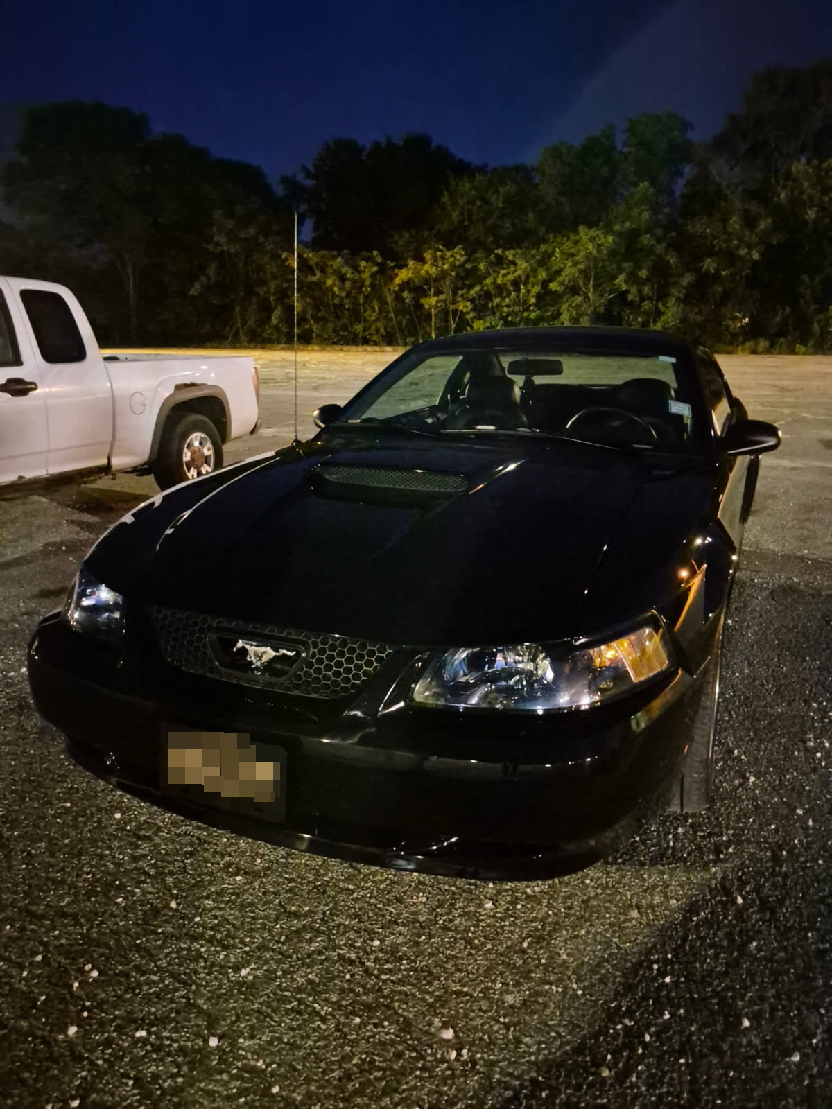 Ford Special Vehicle Registry