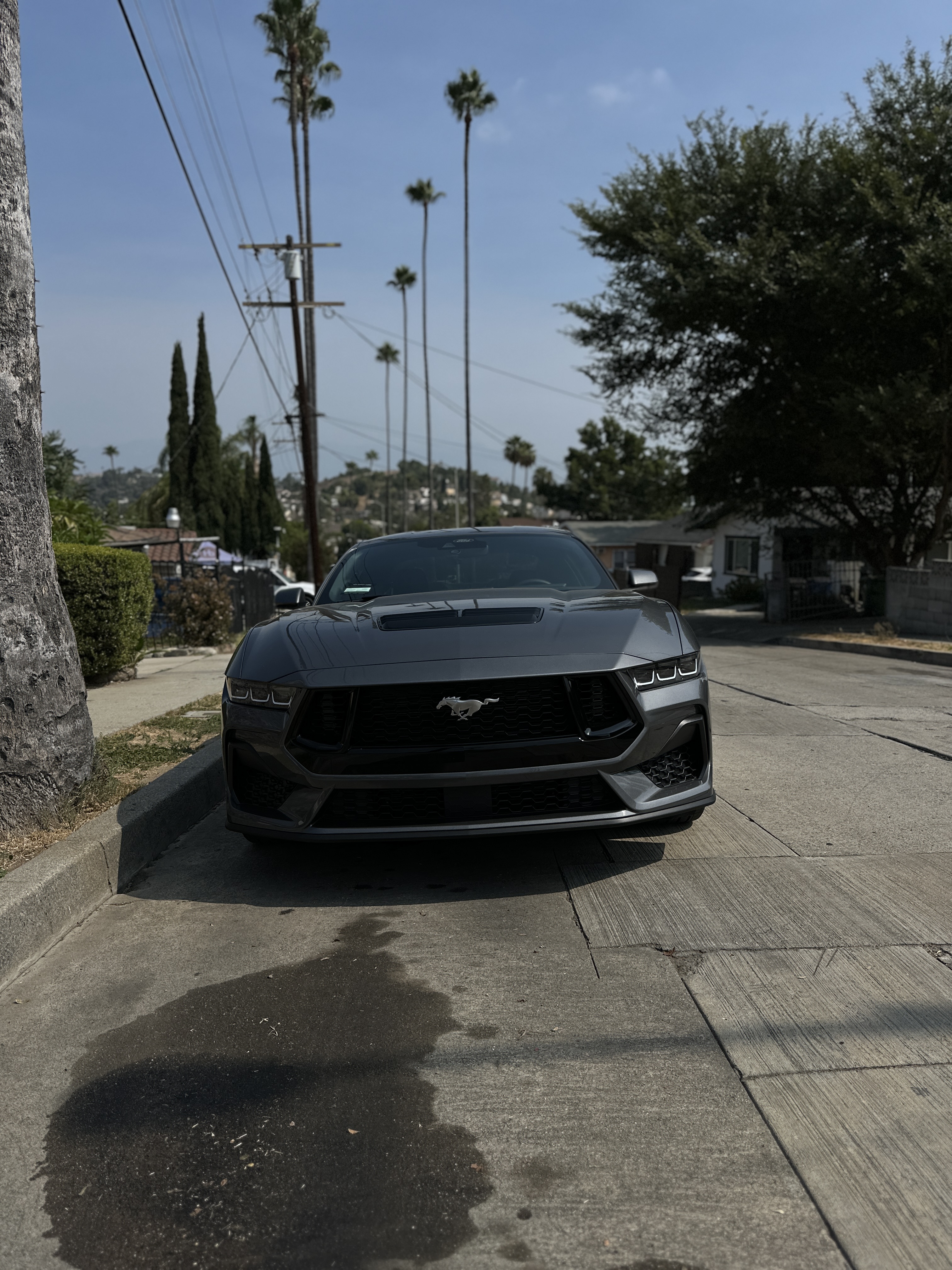 Ford Special Vehicle Registry