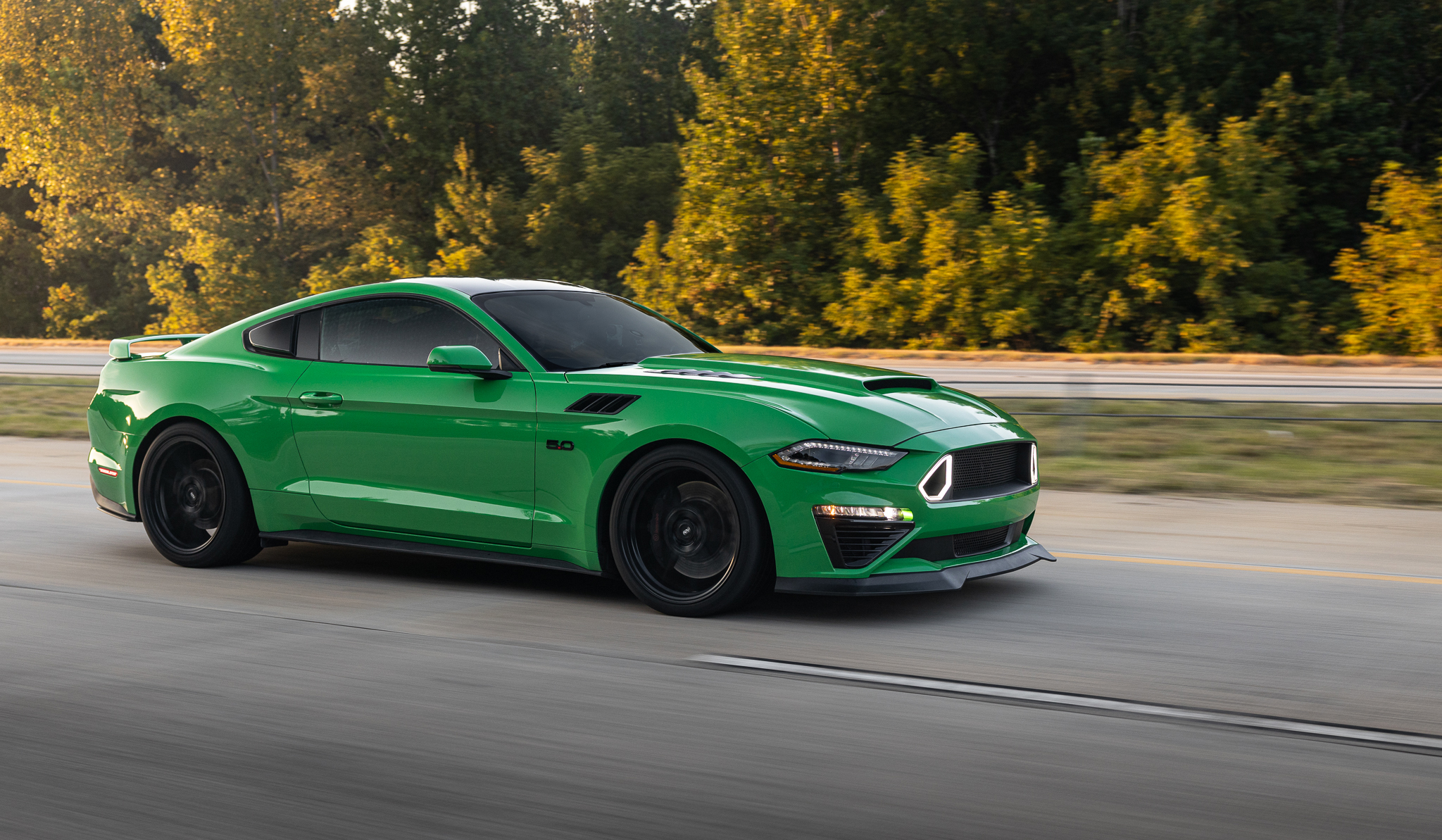 Ford Special Vehicle Registry