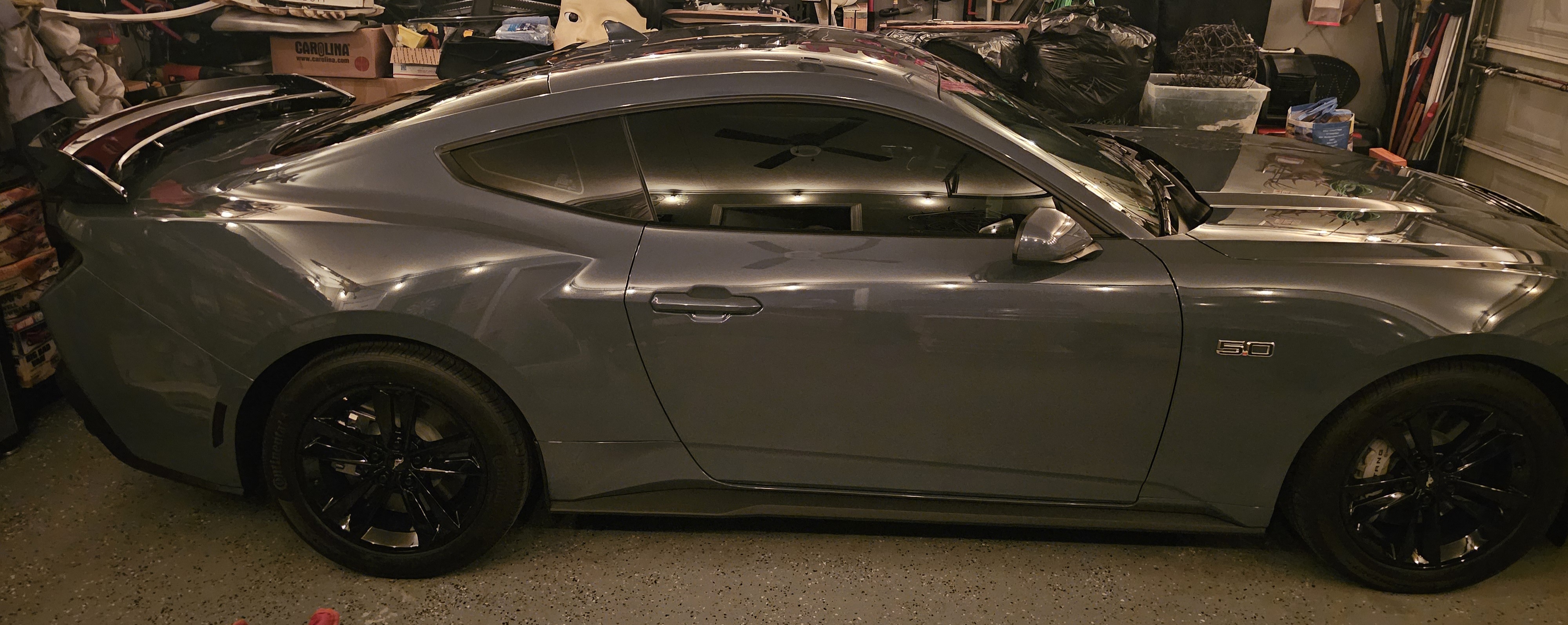 Ford Special Vehicle Registry