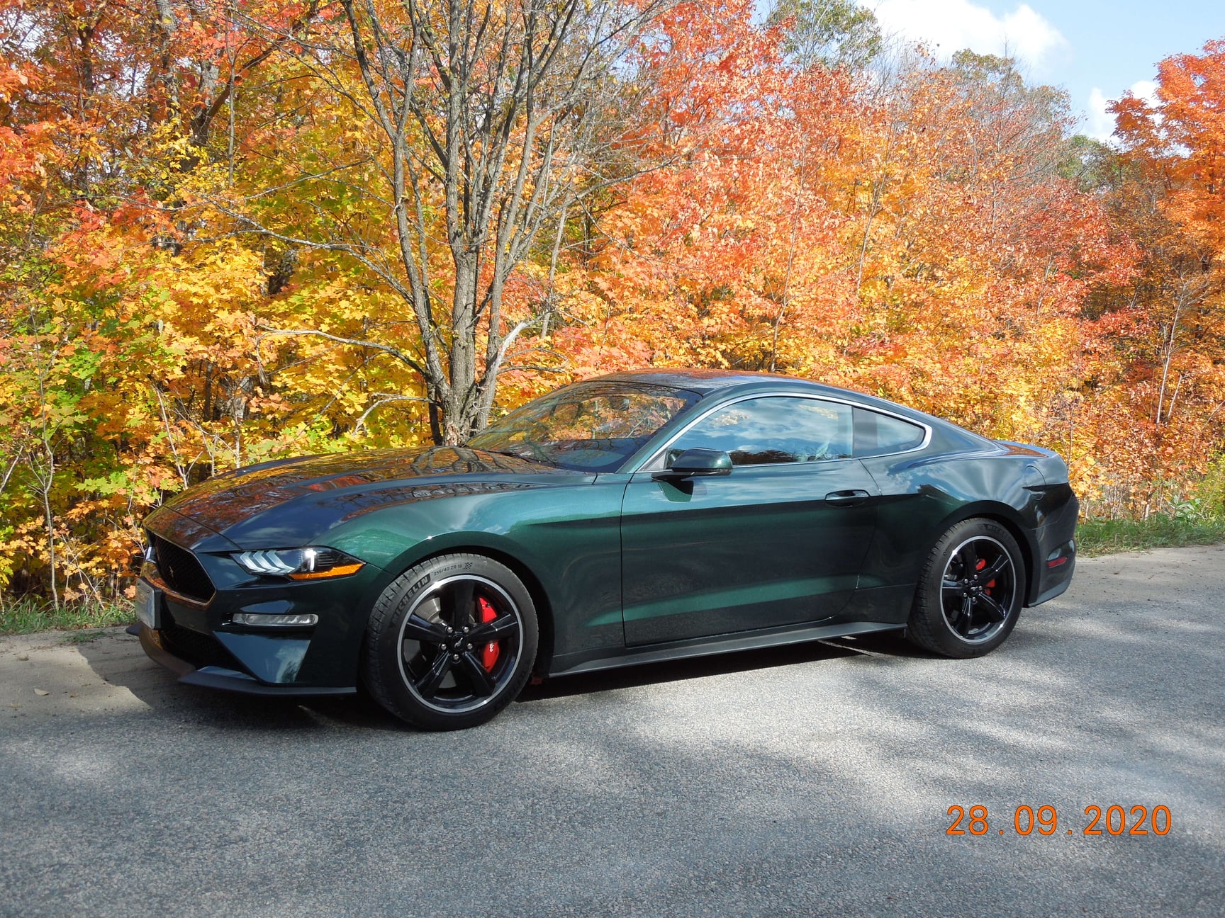 Ford Special Vehicle Registry