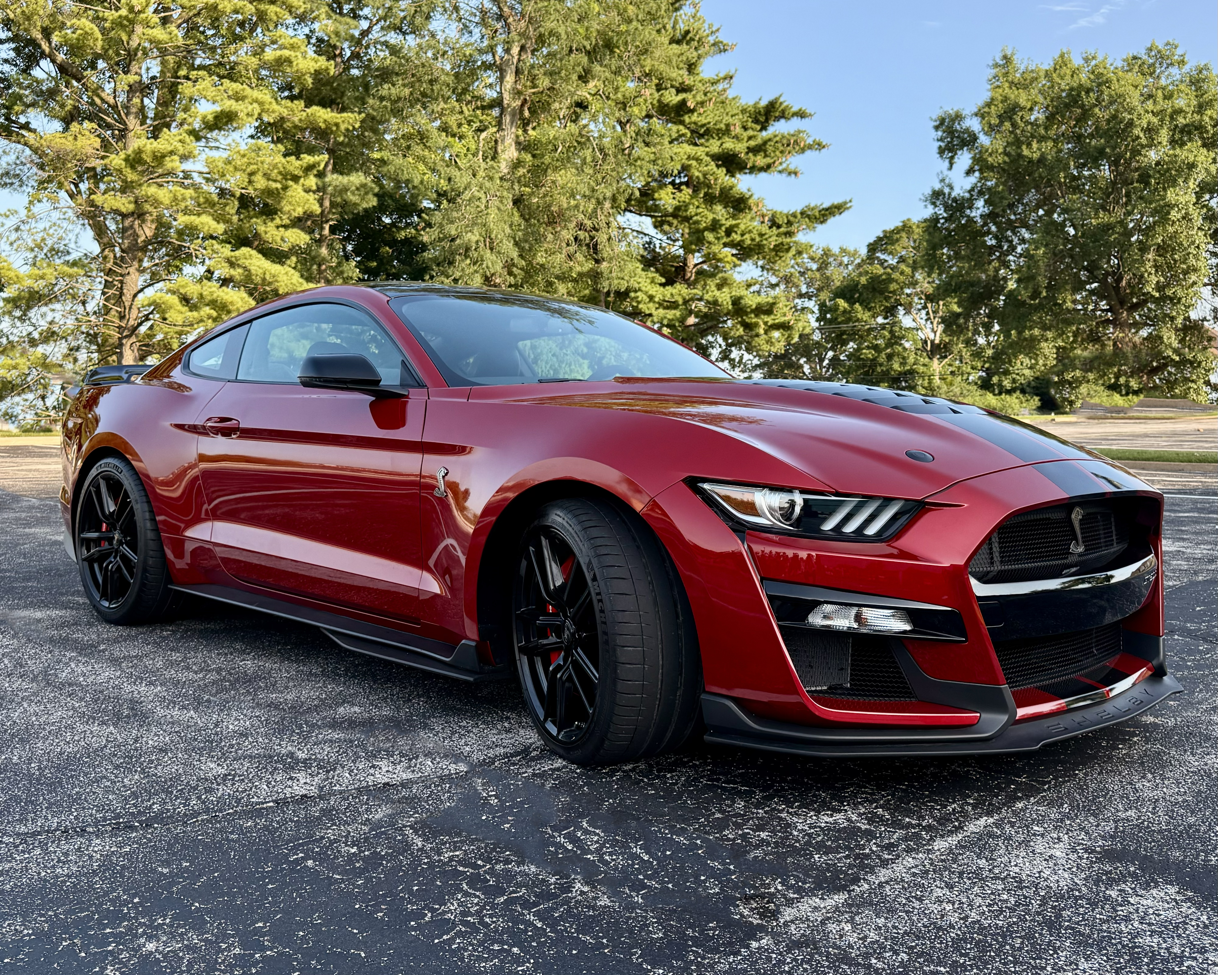 Ford Special Vehicle Registry